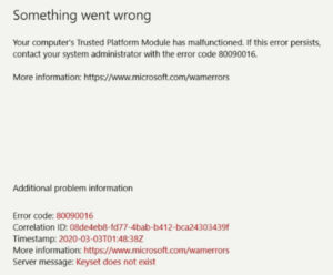 Fix Trusted Platform Module (TPM) has Malfunctioned PC Error