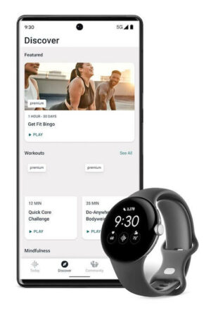 How to update Google Pixel Watch firmware or device software